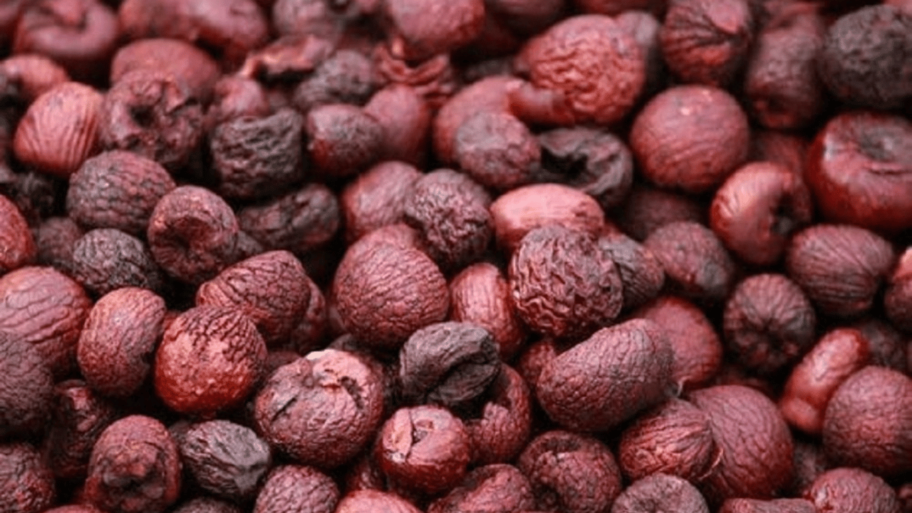 Shivamogga Adike Price Today – Latest Arecanut Market Price